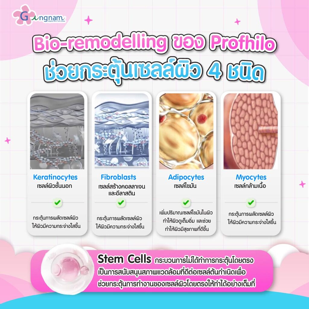 Profhilo vs ฟิลเลอร์ เลือกอะไรดี? เจาะลึกความแตกต่าง เพื่อผิวสวยในแบบ ...